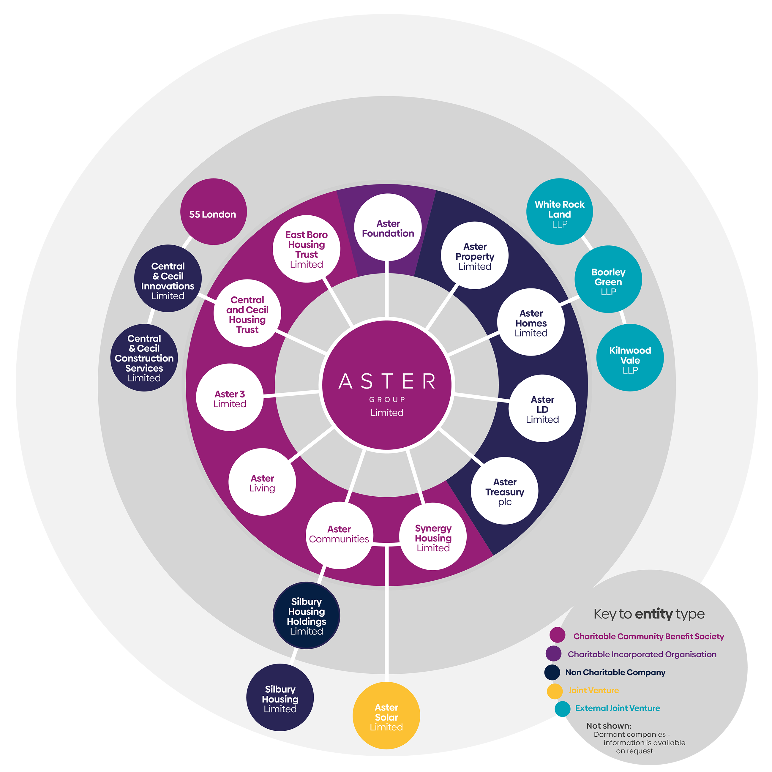 Governance | About Us | Aster Group
